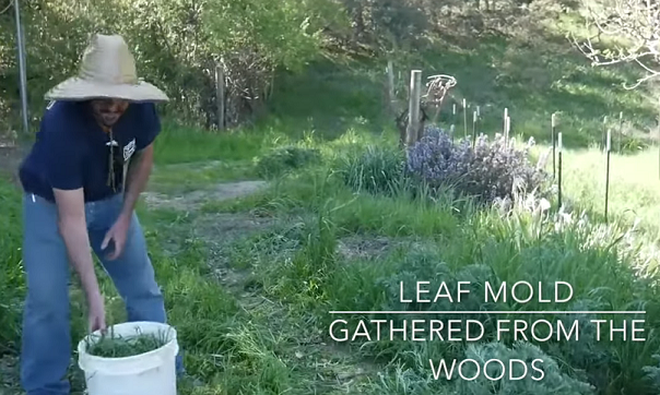 Making JADAM Liquid Fertilizer