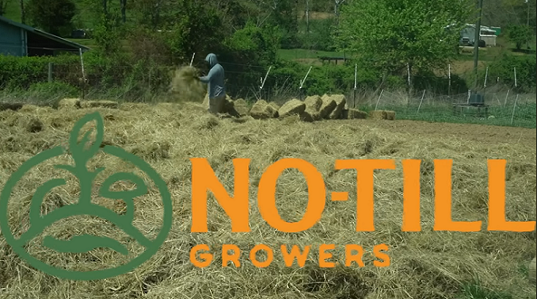 Regenerative Agriculture On A Small Scale What It Looks Like